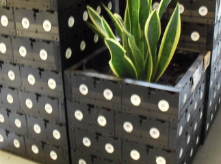 Homepage - Trash Design